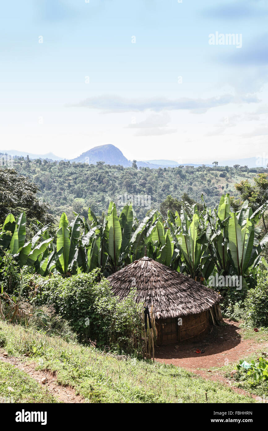 From Yirgalem to Konso Stock Photo - Alamy