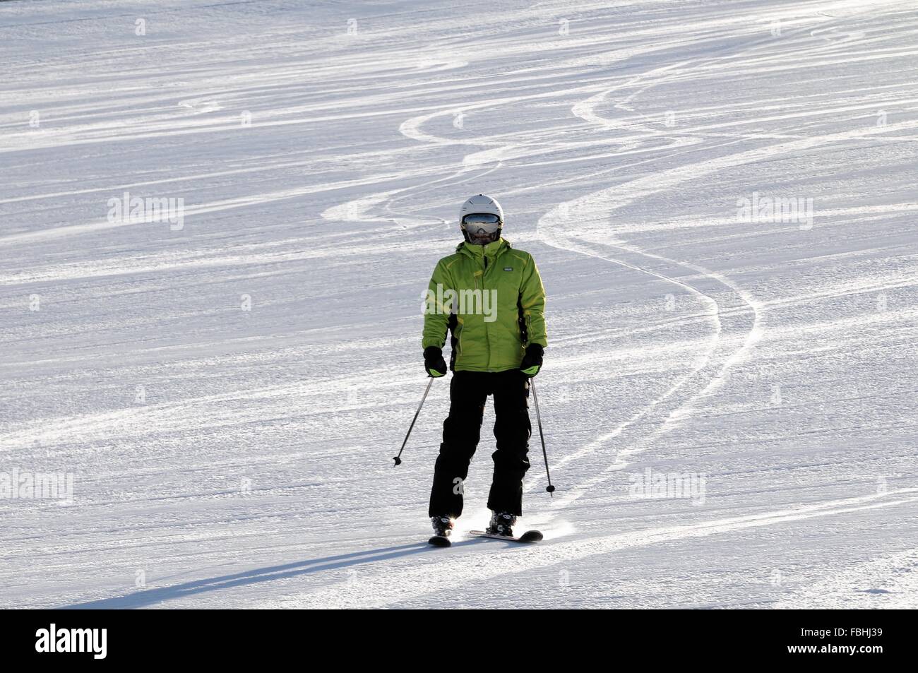 Zhalantun, China's Inner Mongolia Autonomous Region. 14th Jan, 2016. A ...