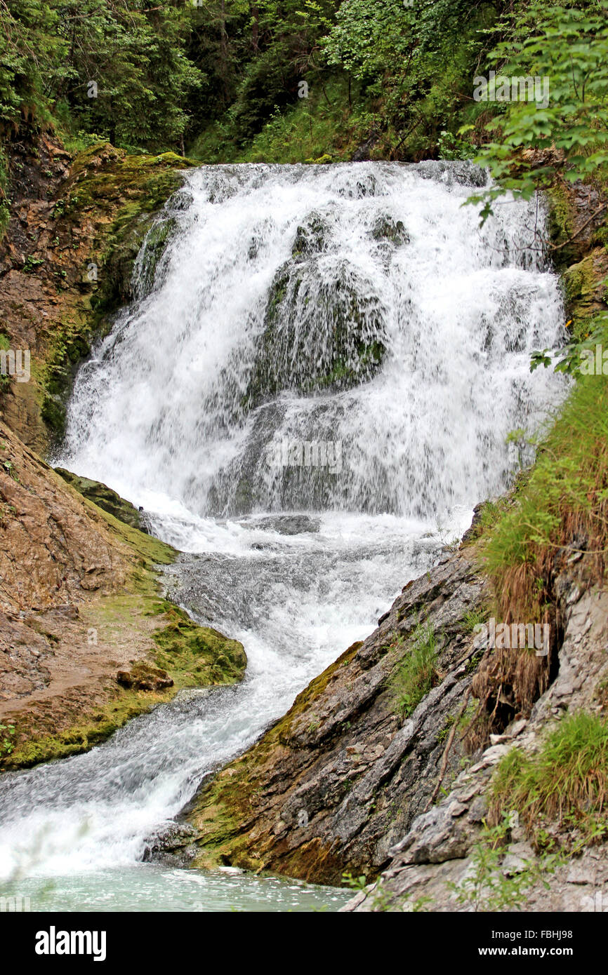 Forest, waterfall, rock Stock Photo - Alamy