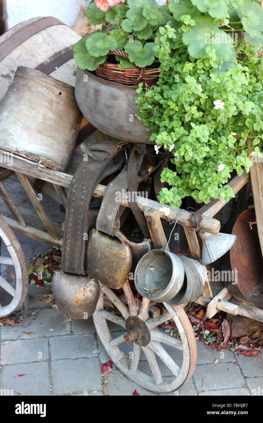 Cow carriage hi-res stock photography and images - Alamy