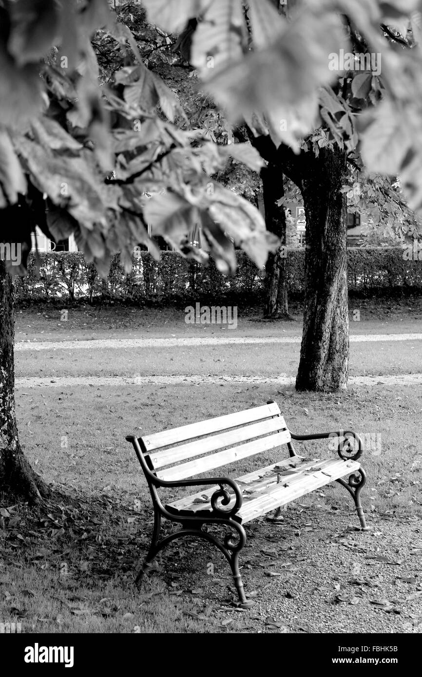Park, trees, bench, b/w Stock Photo - Alamy