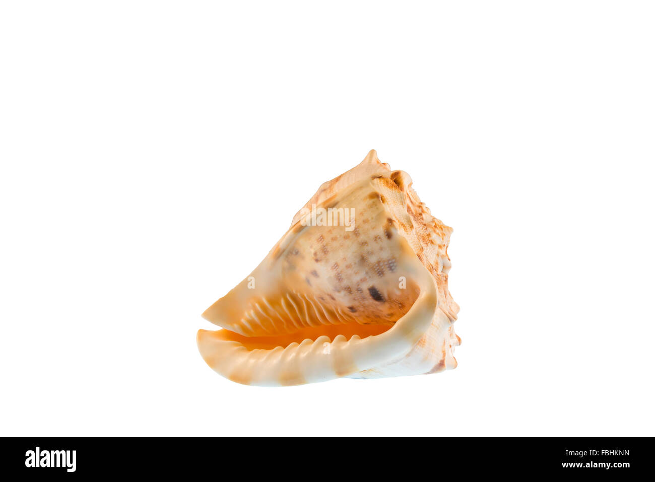 Barbados sightseeing Cut Out Stock Images & Pictures - Alamy