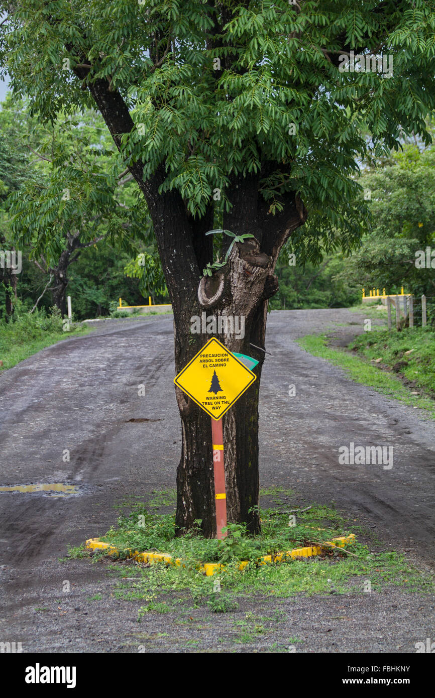 Warning sign in front of a tree Stock Photo - Alamy