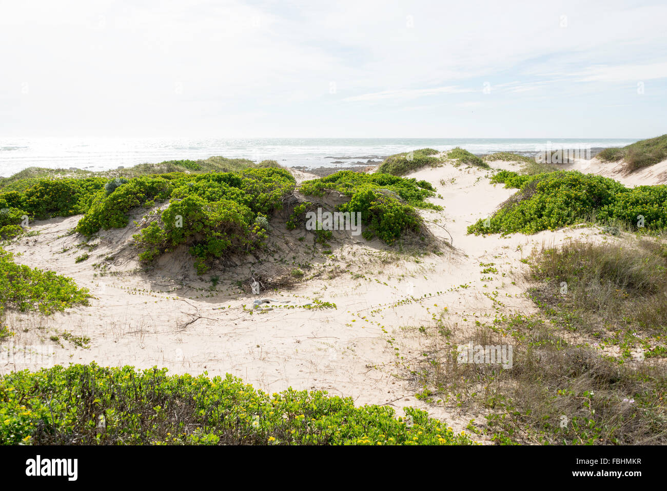 Nelson Mandela Bay Municipality High Resolution Stock Photography and ...