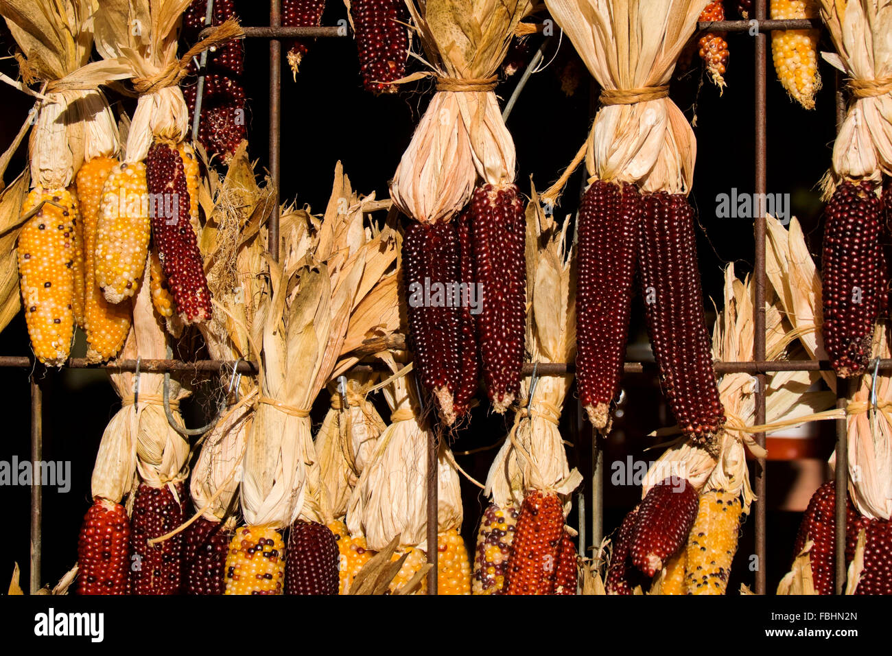 Hanging indian corn hi-res stock photography and images - Alamy