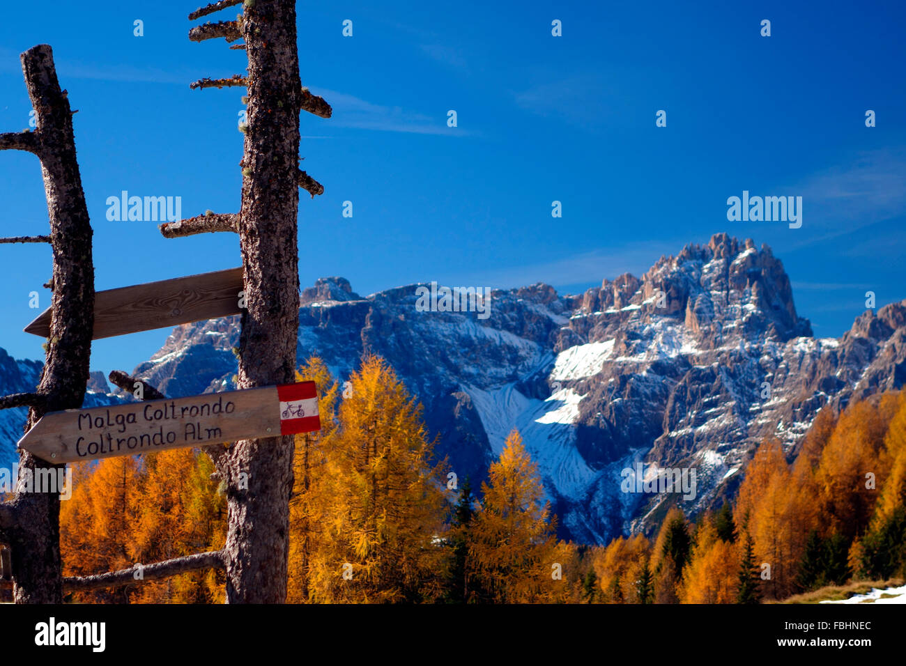 Nemes High Resolution Stock Photography and Images - Alamy