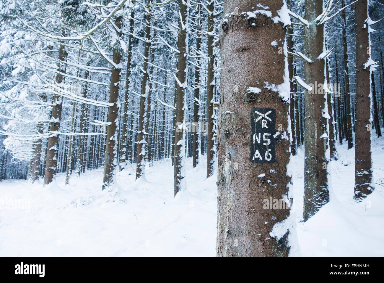 Christmas signpost hi-res stock photography and images - Alamy