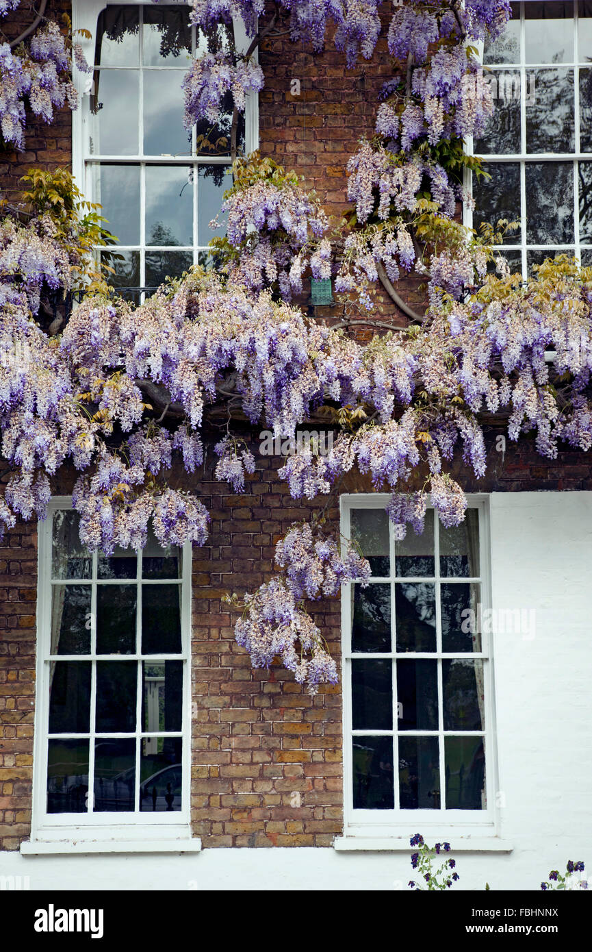 House, flowers, spring, architecture Stock Photo - Alamy
