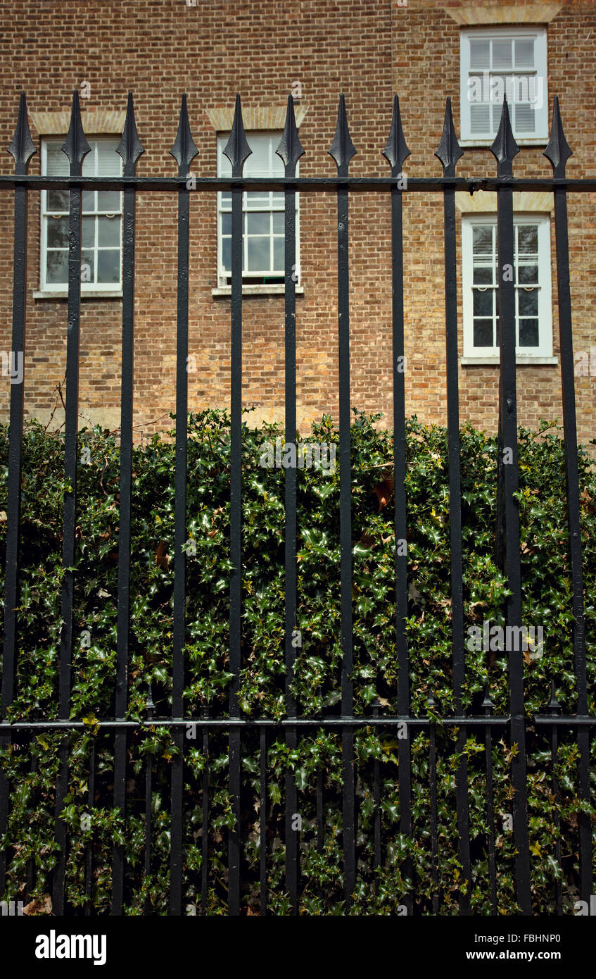 House, hedge, holly, spring, architecture Stock Photo - Alamy
