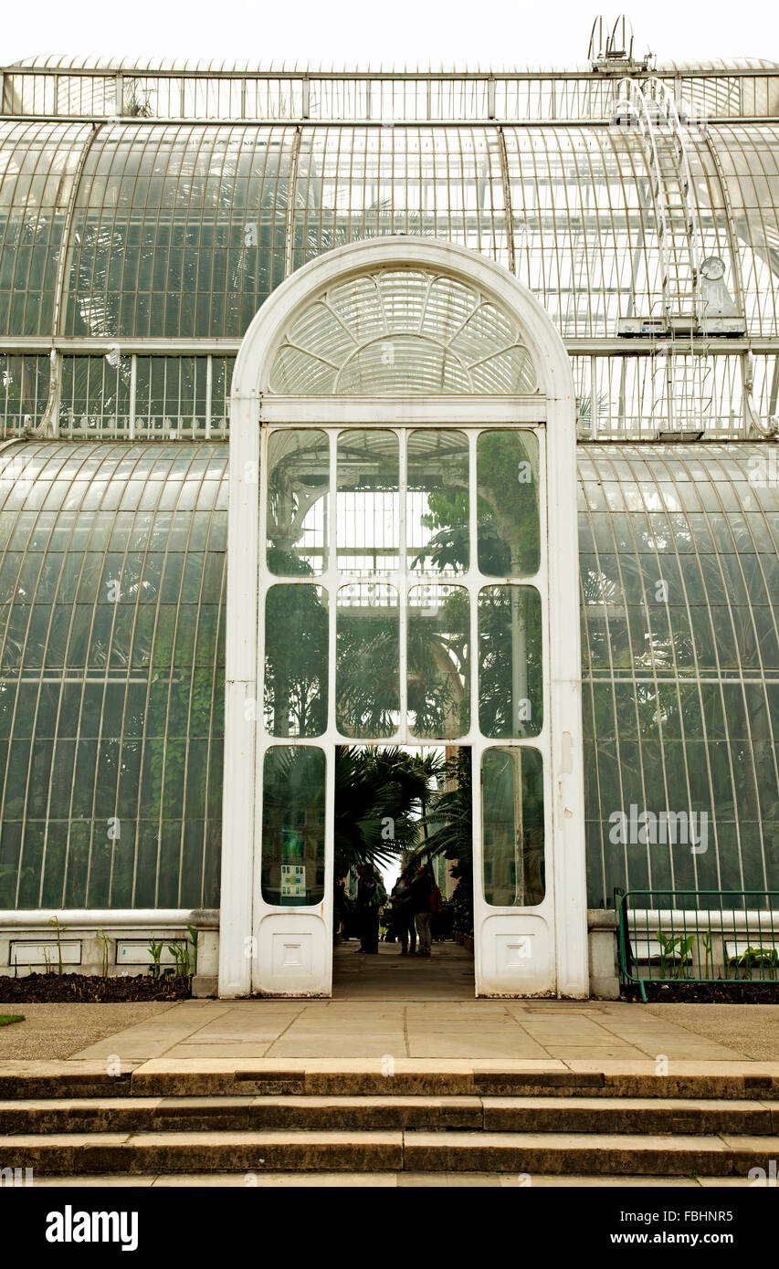 Palm house, architecture, greenhouse, place of interest Stock Photo - Alamy