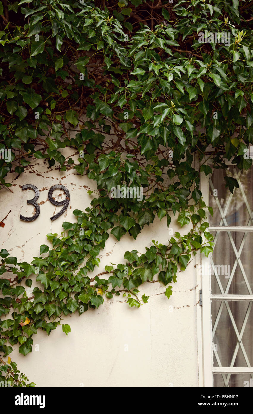 Plants, entrance, house number, town Stock Photo - Alamy