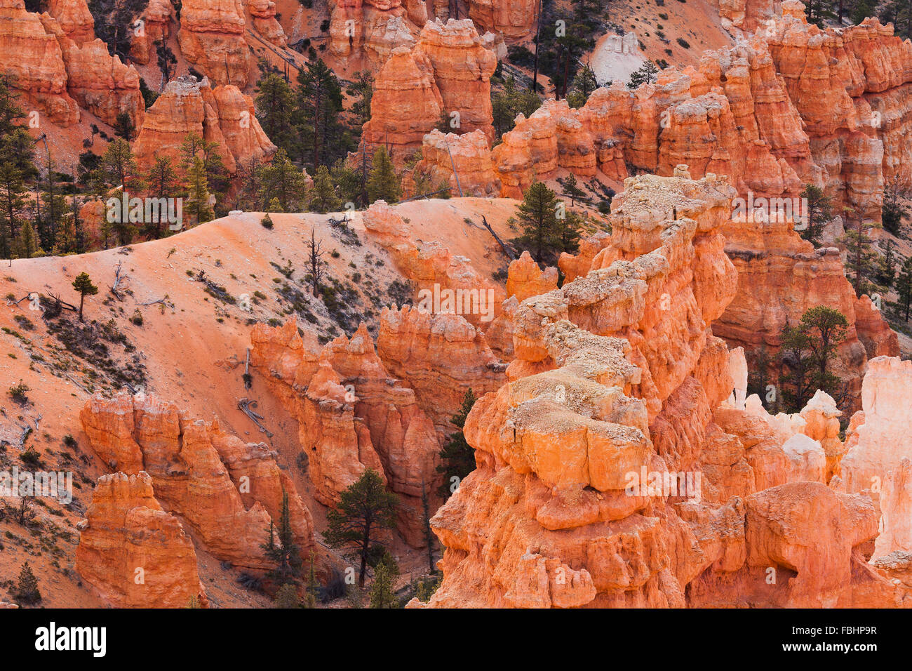 Inspiration Point, Hoodoos, Bryce Canyon, Utah, USA Stock Photo - Alamy