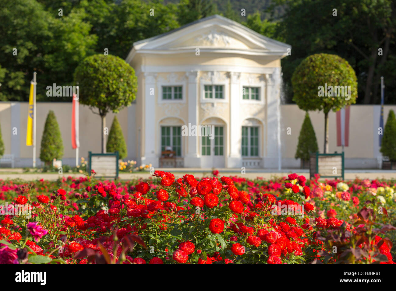 Roses in the Doblhoffpark, Rosarium, Baden bei Wien, Lower Austria ...
