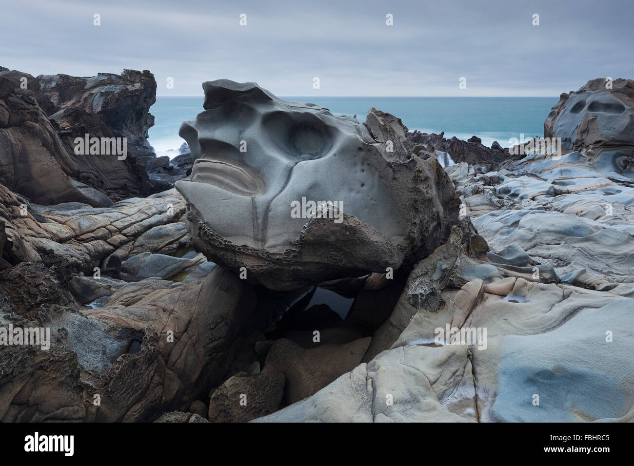 Sandstone, Salt Point State Park, Sonoma Coast, California, USA Stock ...