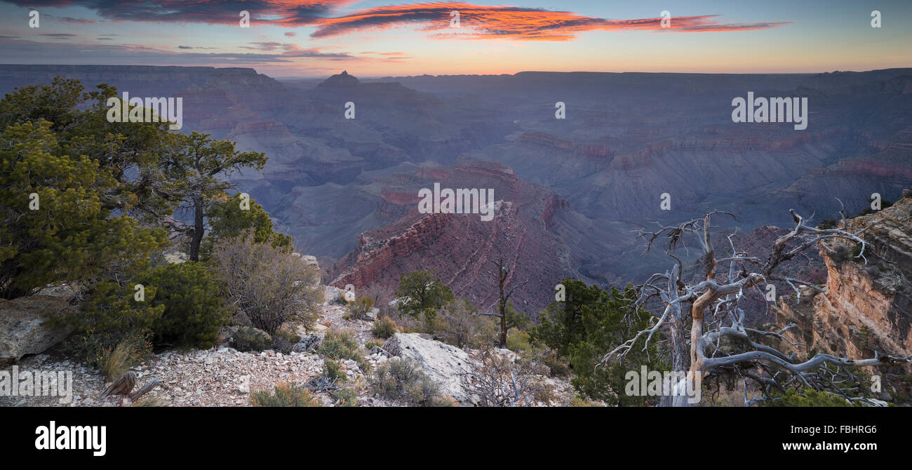 Shoshone Point, South Rim, Grand Canyon National Park, Arizona, USA Stock Photo - Alamy