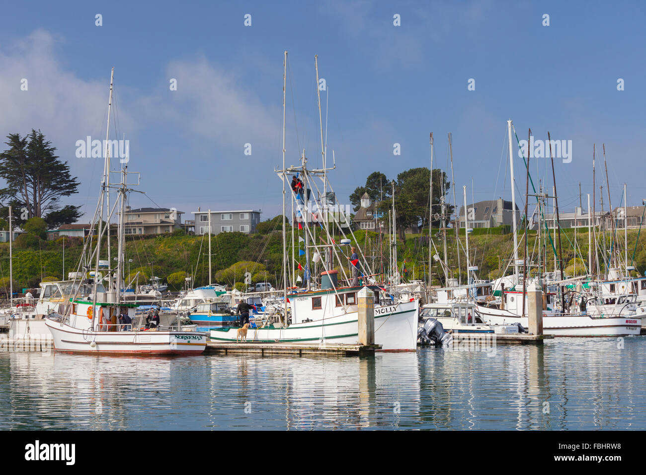 Spud point marina hi-res stock photography and images - Alamy
