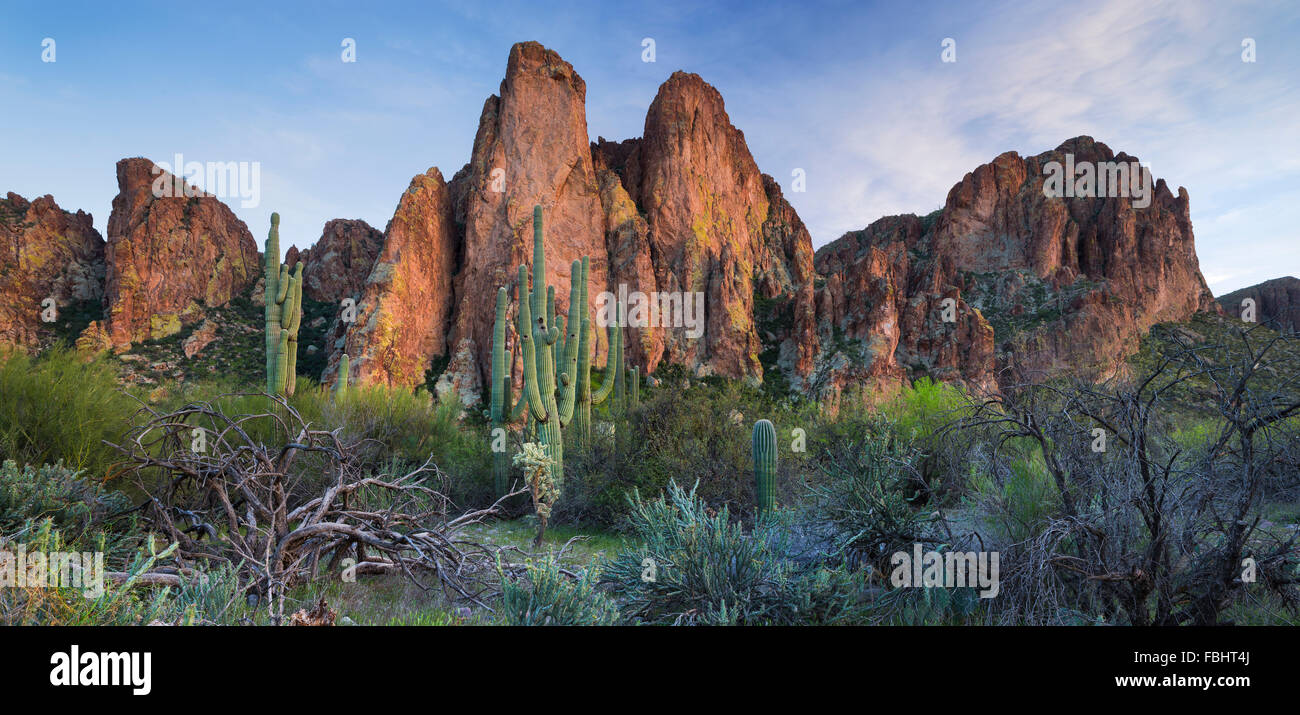 Goldfield mountains hi-res stock photography and images - Alamy