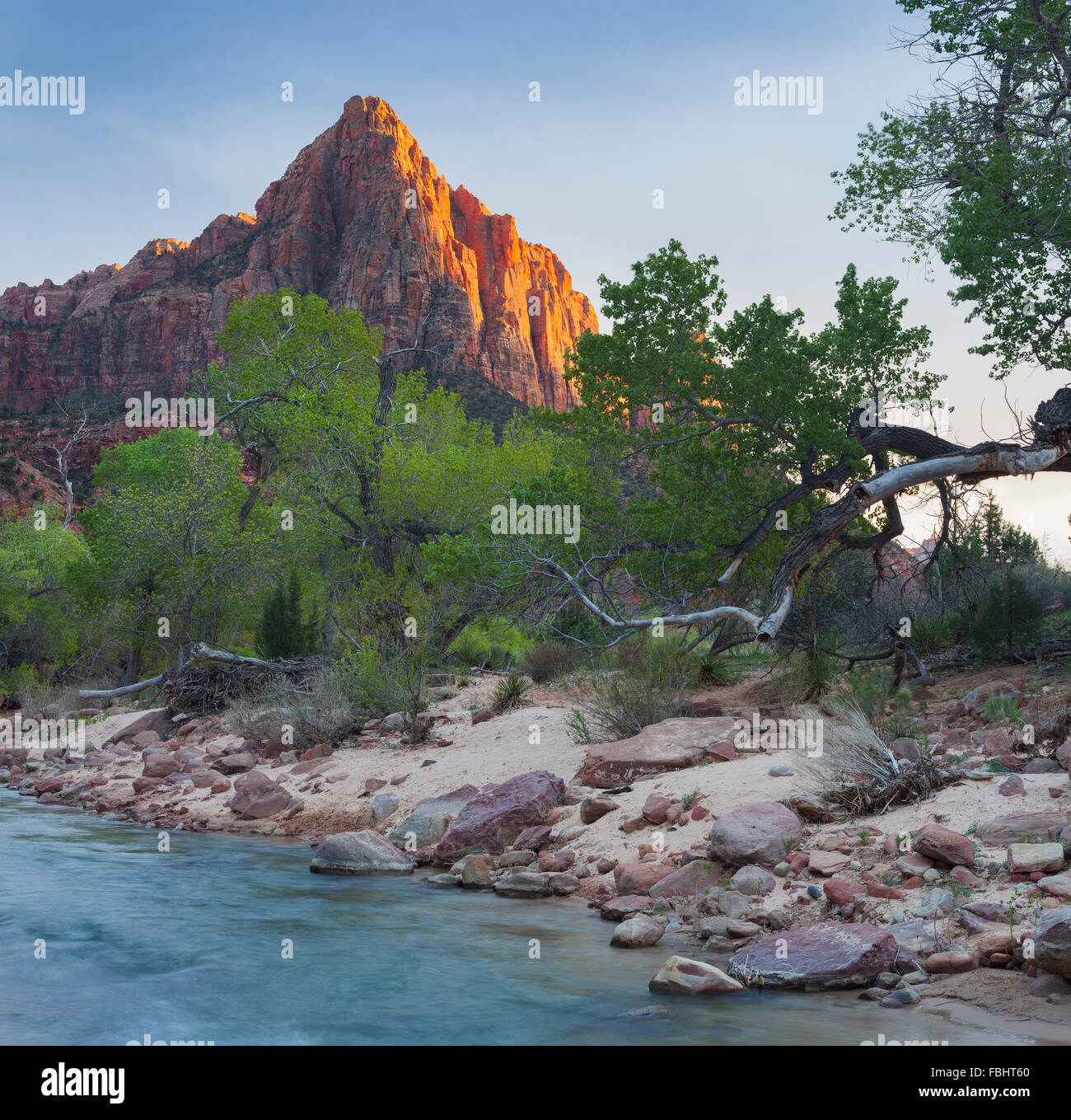 The Watchman, Virgin River, Zion National Park, Utah, USA Stock Photo ...