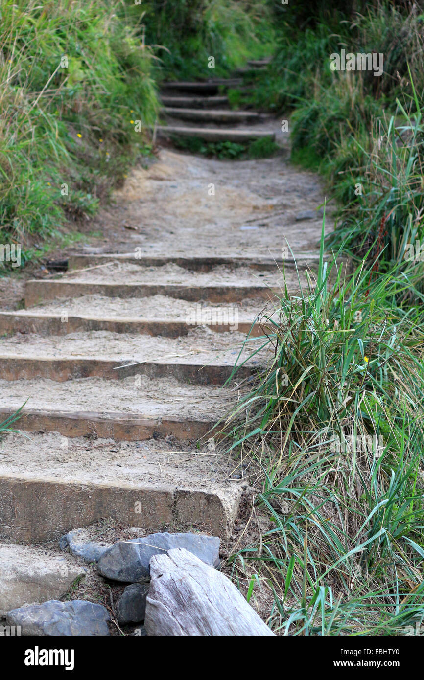 Beautiful long stone stairway of rock and sand cut into grass of beach dunes going up ...