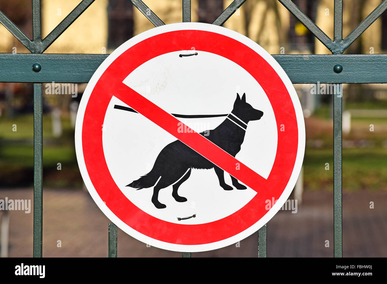 No dogs allowed sign on the metal fence of the park Stock Photo - Alamy