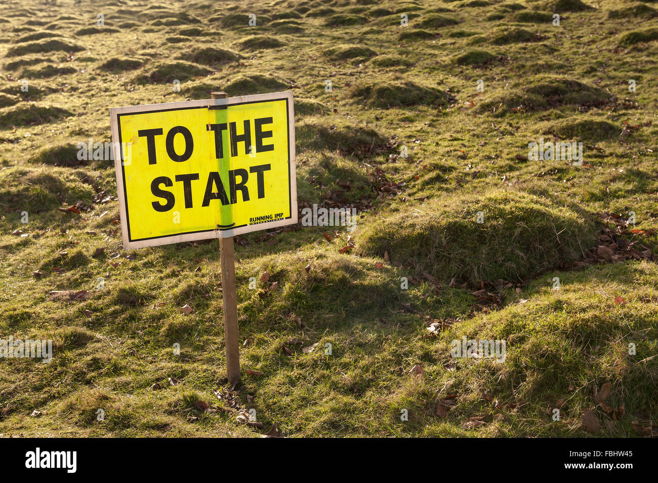 Ant colony can hi-res stock photography and images - Alamy