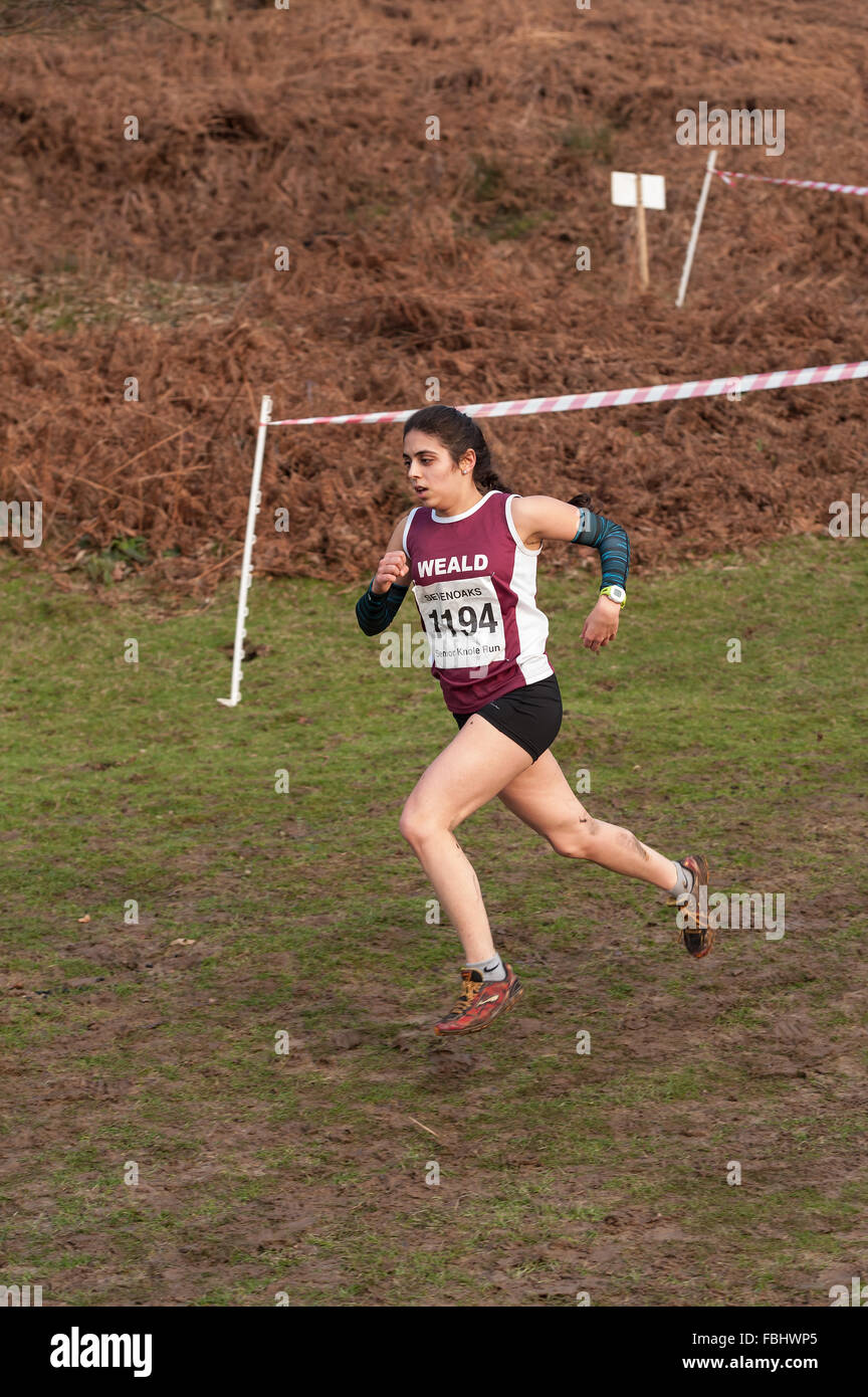 The Annual Knole Run Sevenoaks School cross country youth mile run in ...