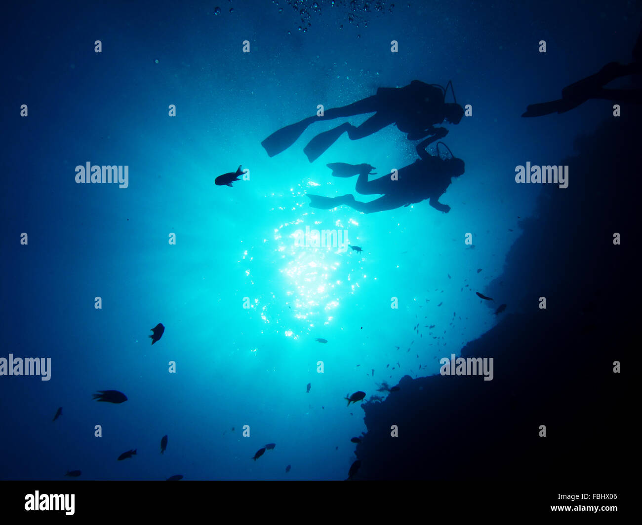 A couple lovingly diving together Stock Photo - Alamy