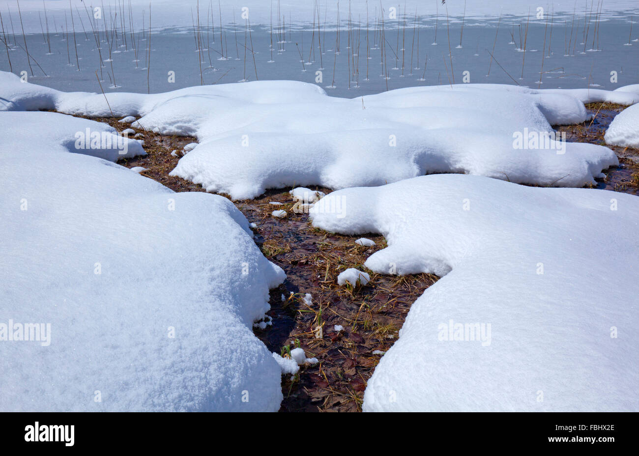 Landscape at the Lautersee lake in winter Stock Photo - Alamy