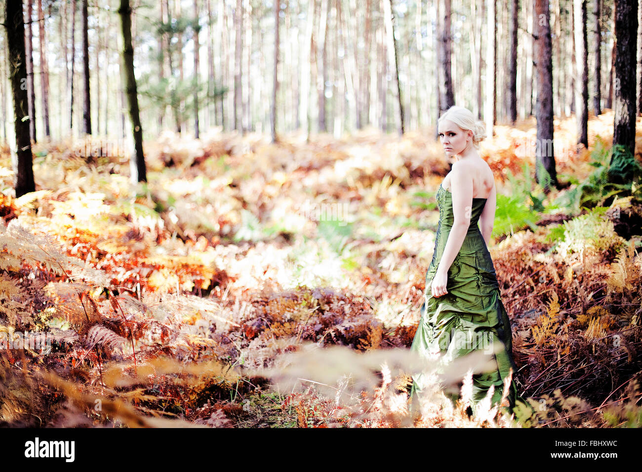 young woman with dress in forest Stock Photo - Alamy