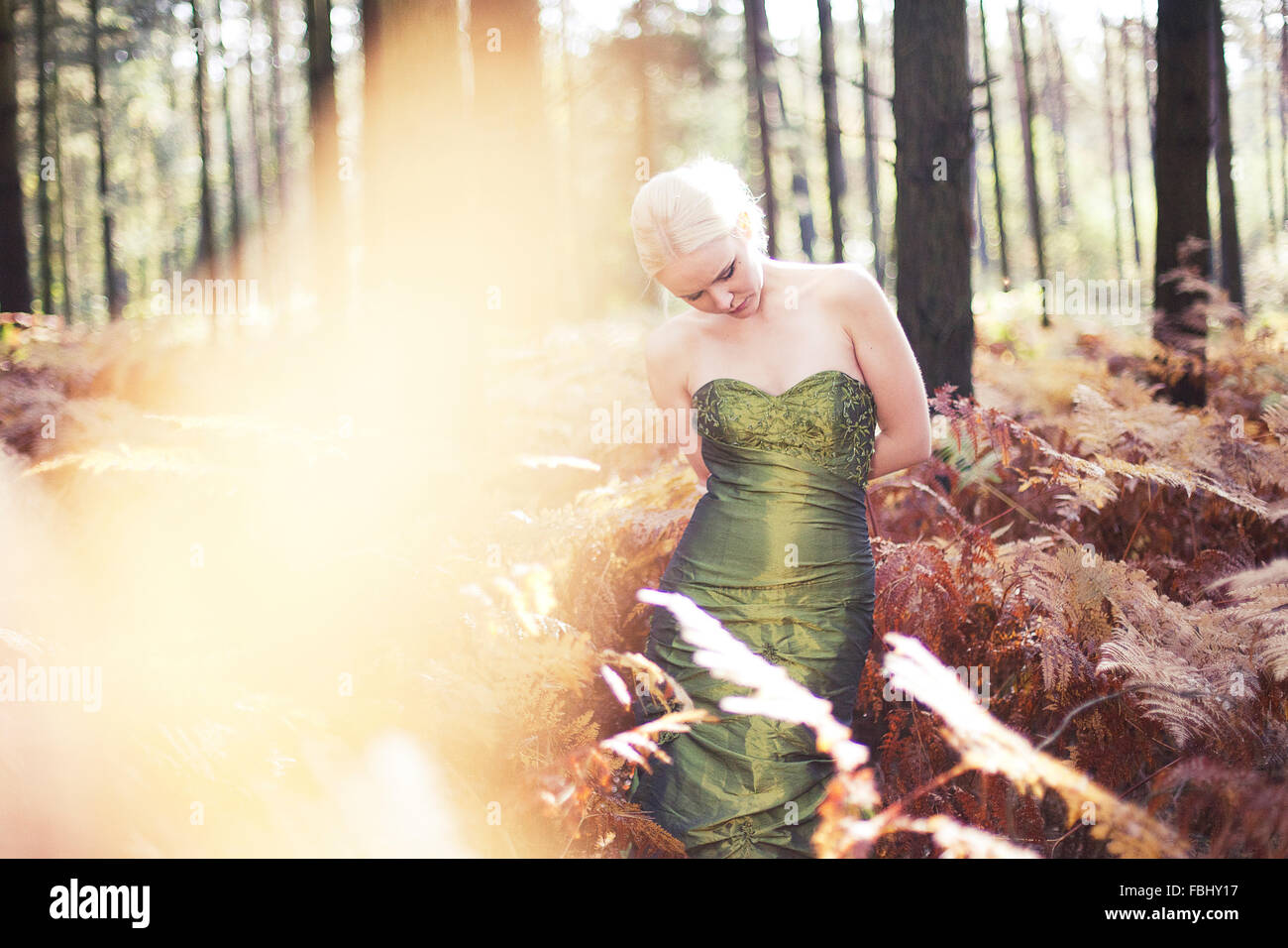 young woman with dress in forest Stock Photo - Alamy