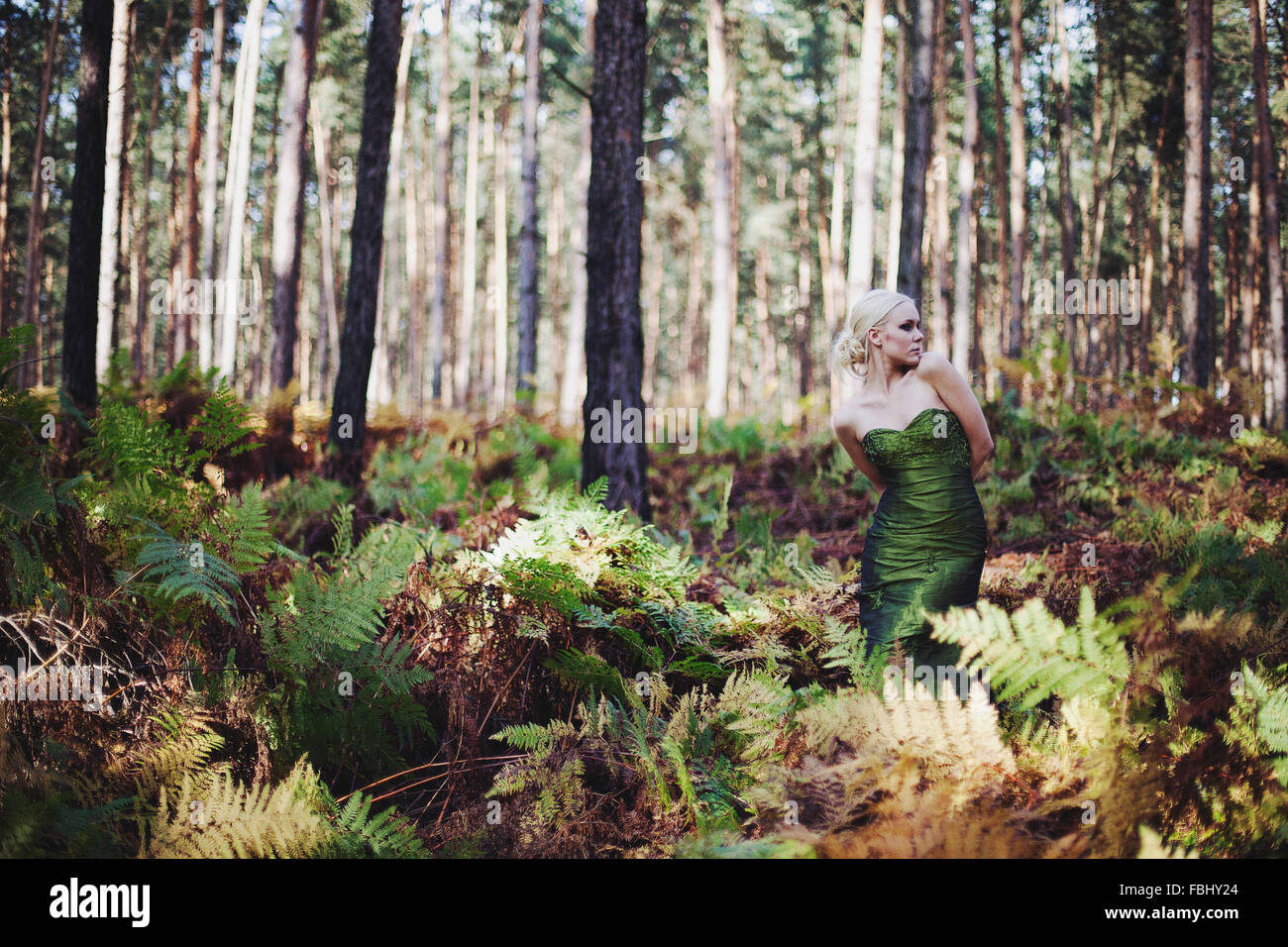 young woman with dress in forest Stock Photo - Alamy