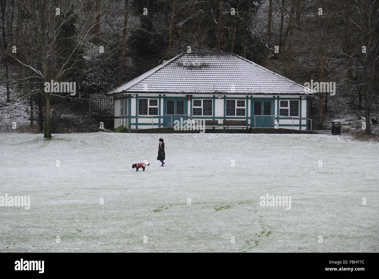A woman walks her dog across a snow covered field at Patcham Place ...