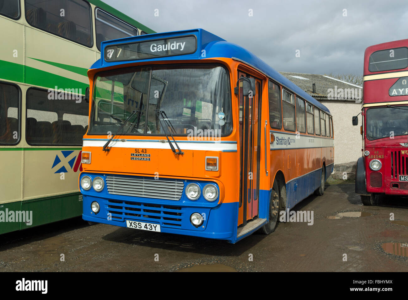 Leyland leopard hi-res stock photography and images - Alamy