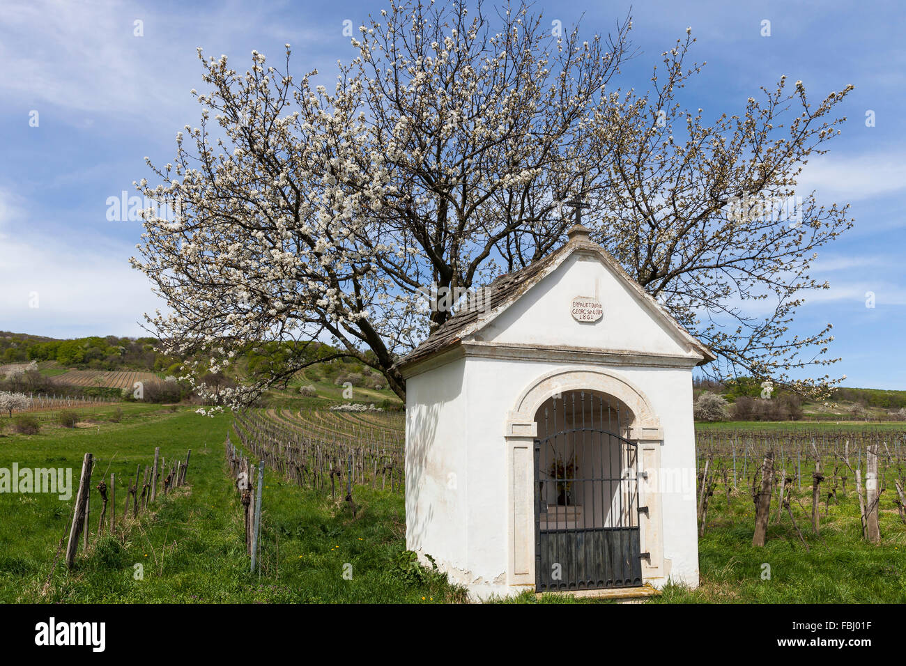 Leitha mountains hi-res stock photography and images - Alamy