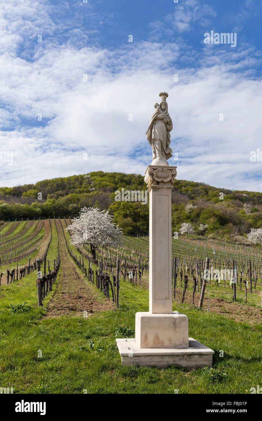 Thunder god vine hi-res stock photography and images - Alamy
