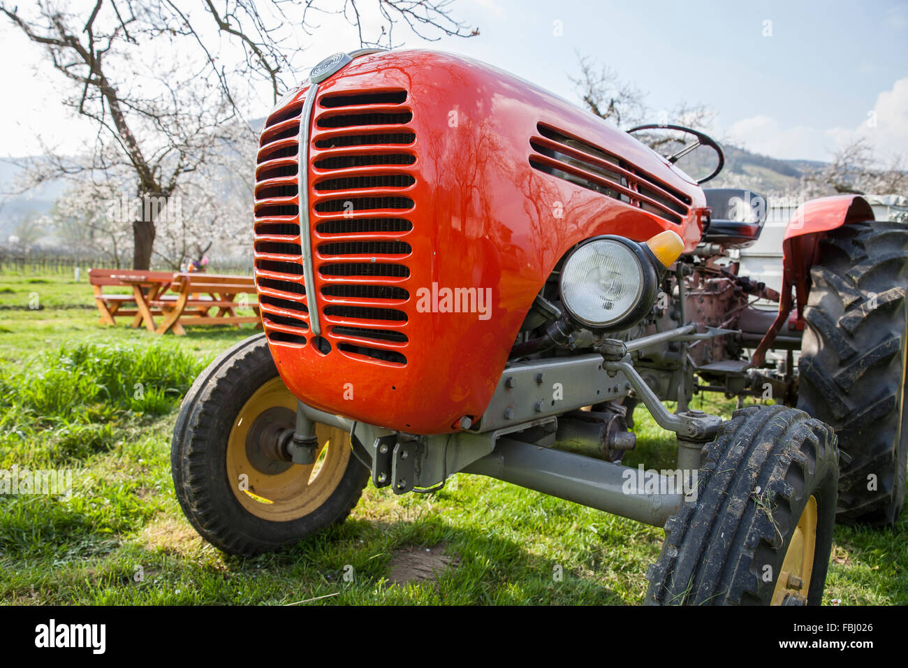 Apricot blossom in the Wachau, red Steyr tractor year of manufacture ...