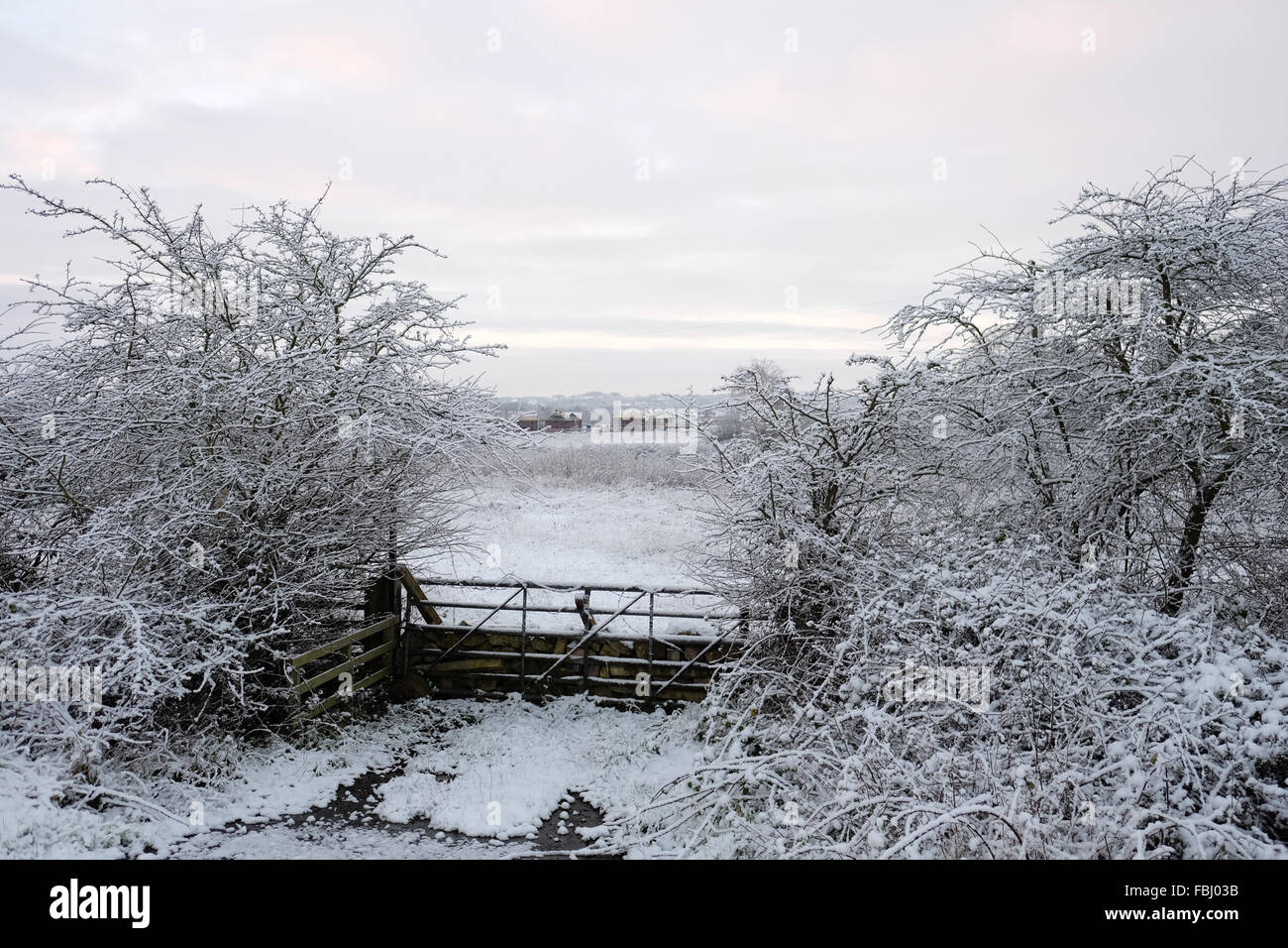 snow in loughborough after overnight snow Stock Photo - Alamy