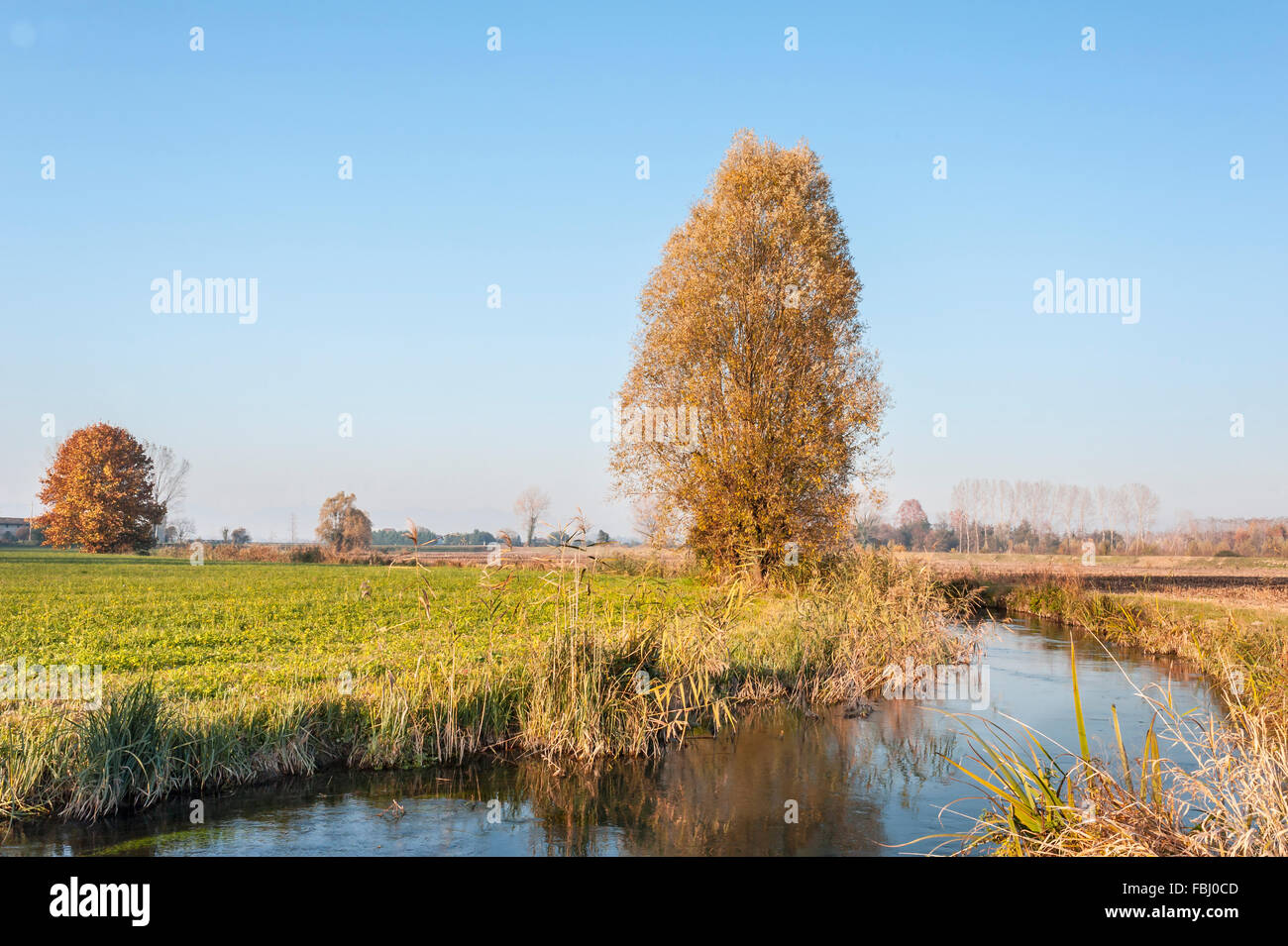 Agricultural landscape with tree and river Stock Photo - Alamy