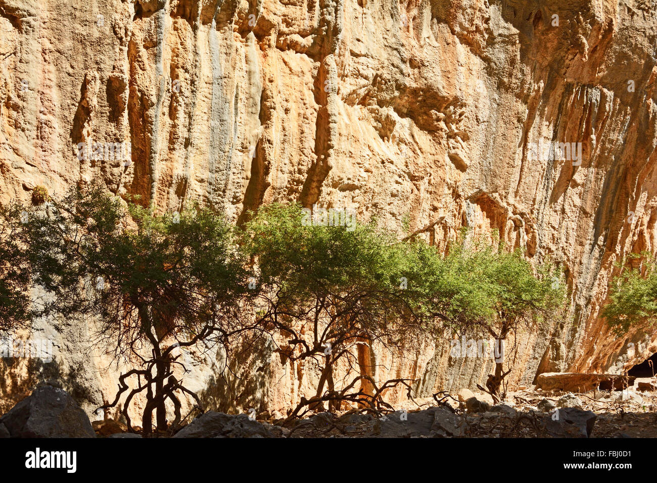Crete, the Aradena gorge Stock Photo - Alamy