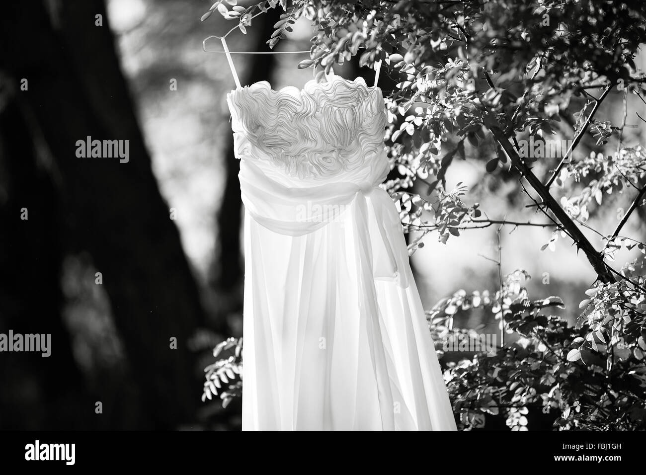 Wedding dress hanging in tree Stock Photo - Alamy