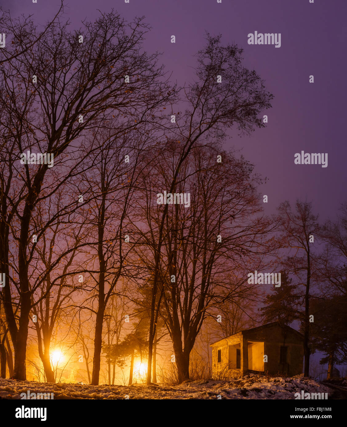 Beautiful warm light and shadows in sundown with trees, winter scene in ...