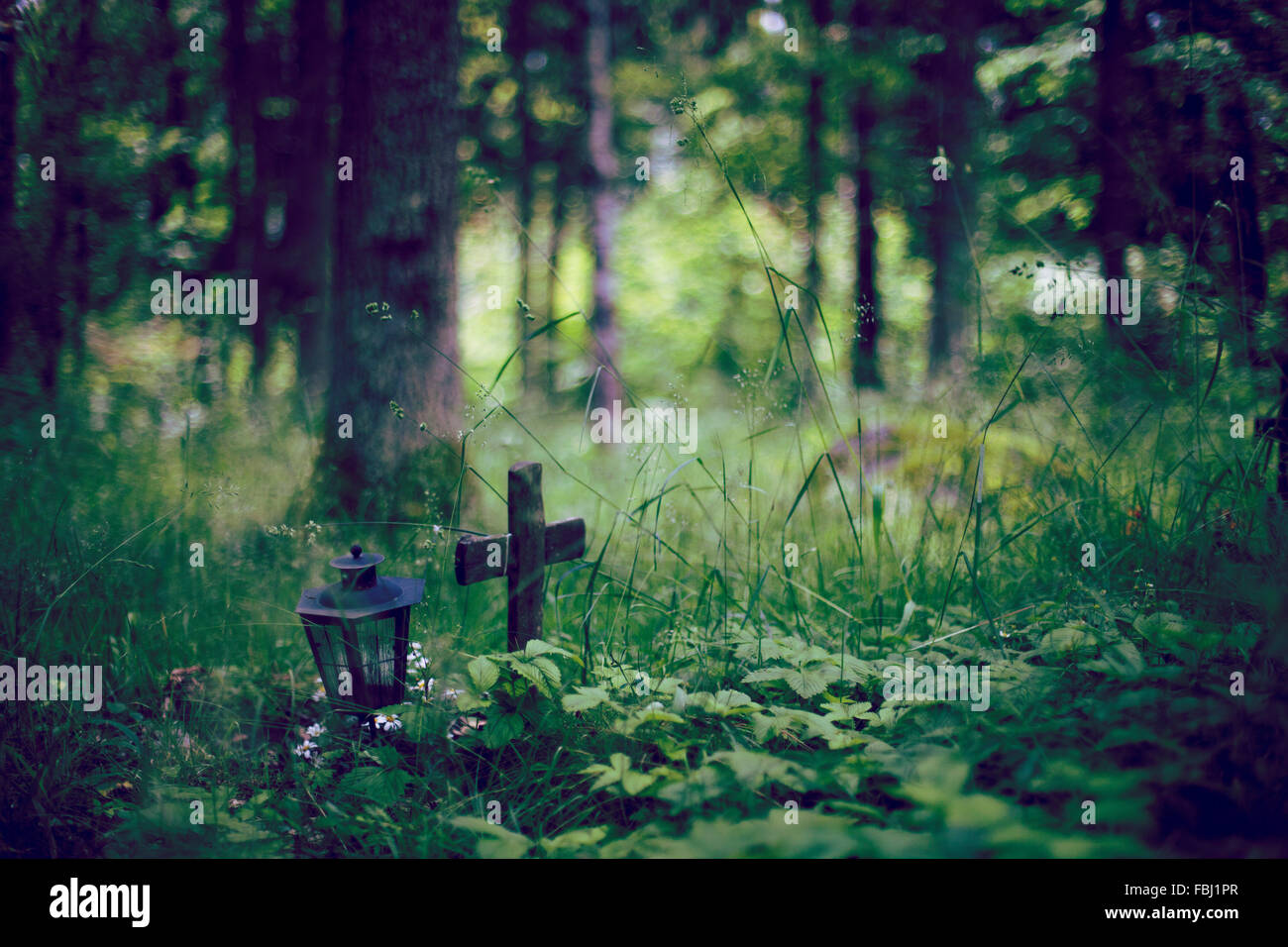 Cross in the forest Stock Photo - Alamy