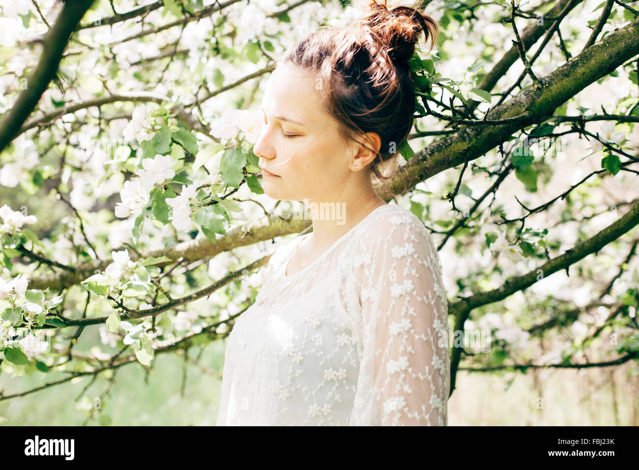 young woman under tree Stock Photo - Alamy