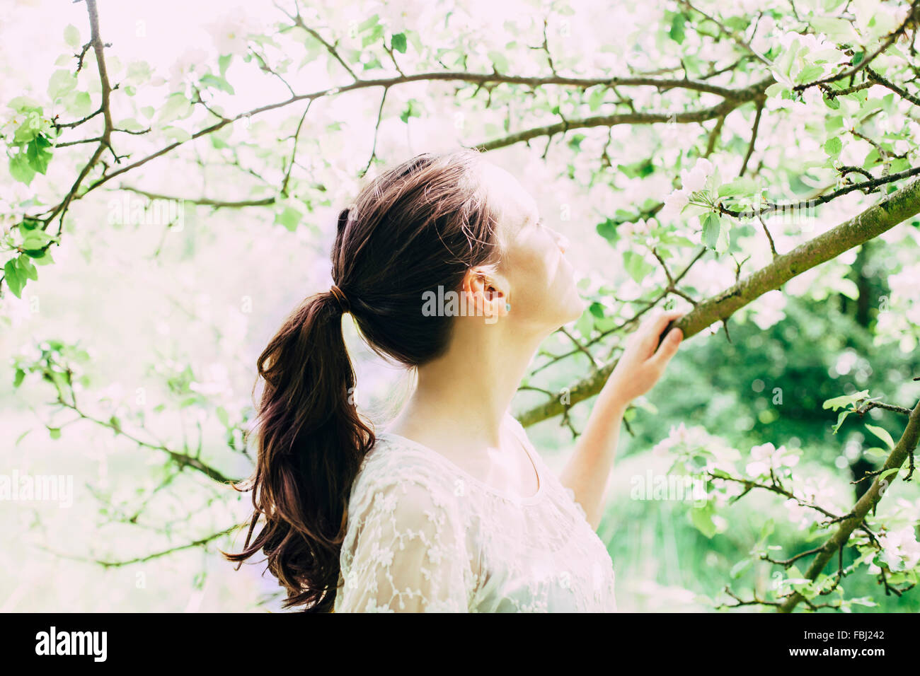 young woman under tree Stock Photo - Alamy