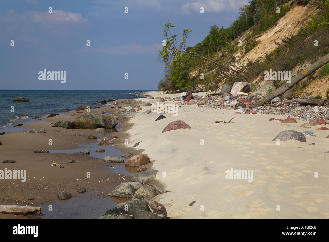 Beach and steep coast at the Baltic Sea in the Wolin National Park ...