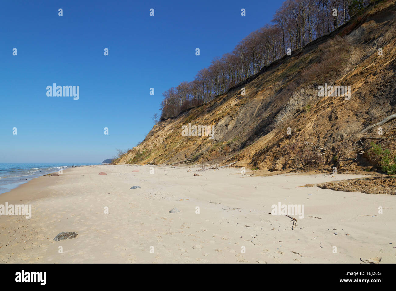 Beach and steep coast at the Baltic Sea in the Wolin National Park ...