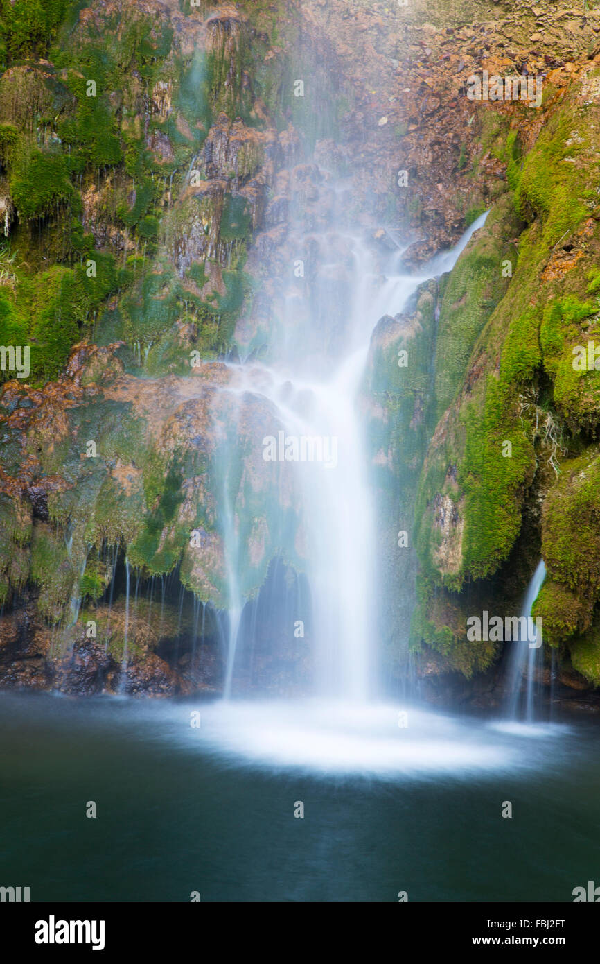 Small forest waterfall hi-res stock photography and images - Alamy