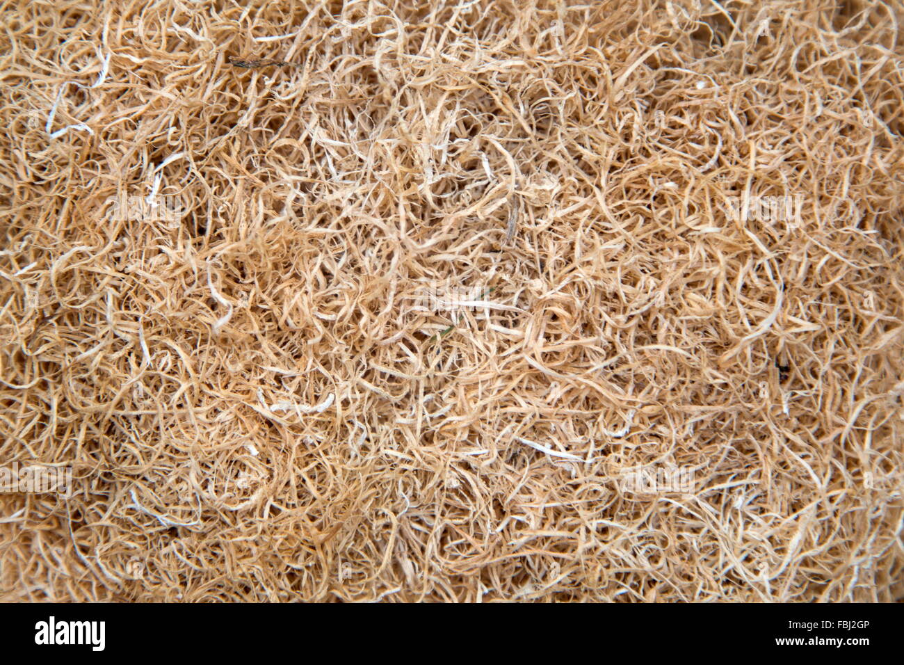 Hemp texture hi-res stock photography and images - Alamy