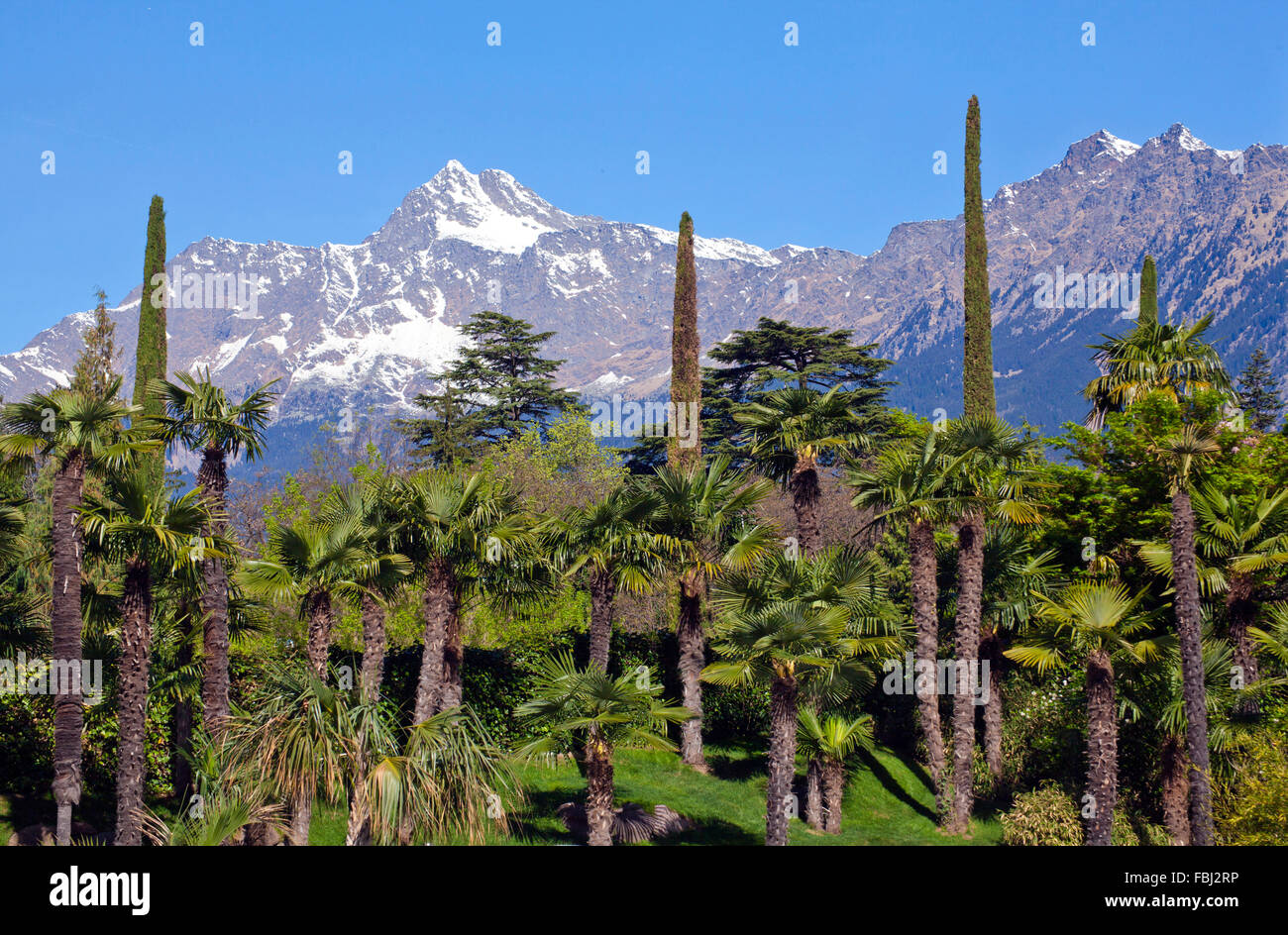 Mediterranean forest hi-res stock photography and images - Alamy