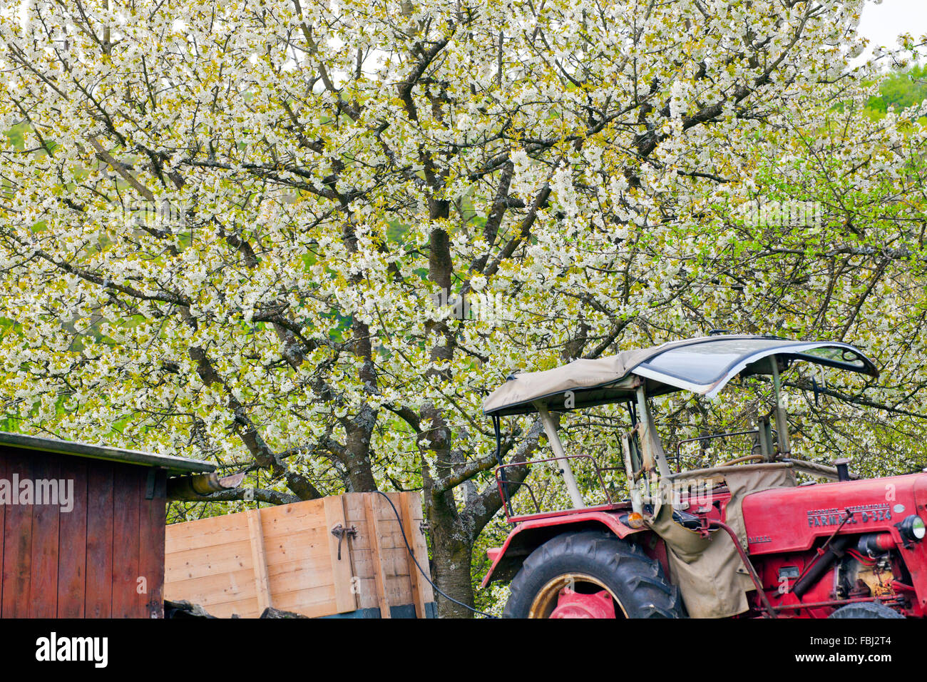 Tractor in trees hi-res stock photography and images - Alamy